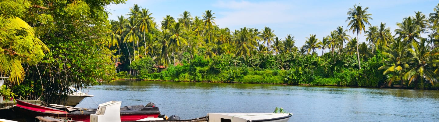 Bentota Tours & Things to do in Betota