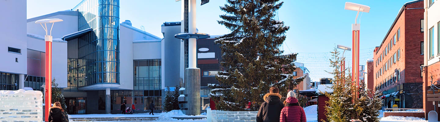 Rovaniemi Tours & Things to do in Rovaniemi