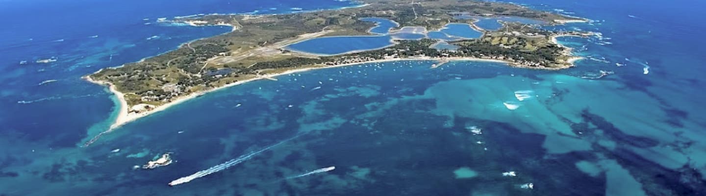 Rottnest Island Tours, Excursions & Activities | isango.com