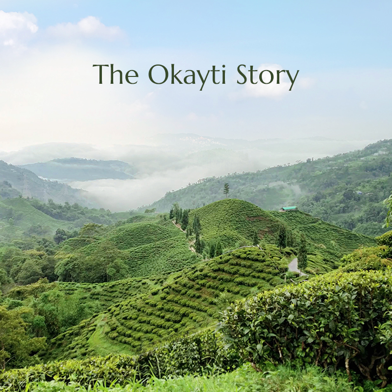 Buy organic single tea estate tea | Okayti Darjeeling Single Estate Tea