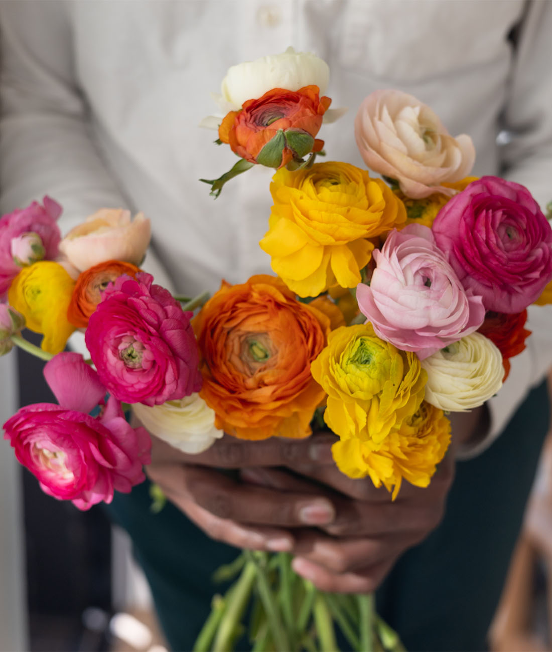 The Beauty of Ranunculus: Flower Care and Design Tips | Blog
