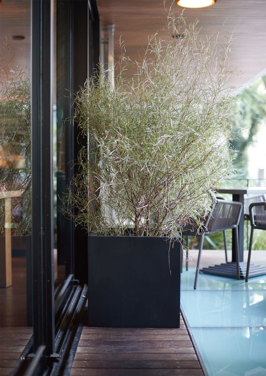 Yamatei・ヤマテーカタログ【HUSTNET】 P14 P15