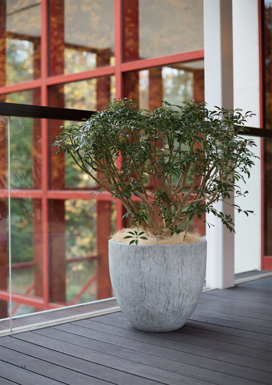 Yamatei・ヤマテーカタログ【HUSTNET】 P54 P55