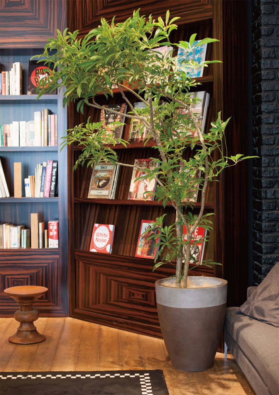 Yamatei・ヤマテーカタログ【HUSTNET】 P78 P79