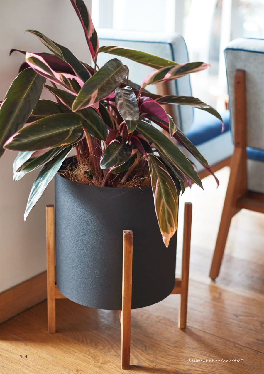 Yamatei・ヤマテーカタログ【HUSTNET】 P164 P165