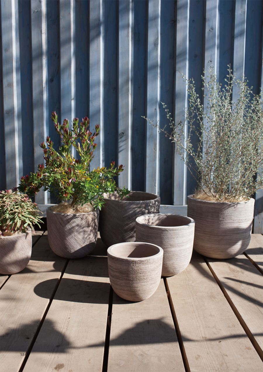 Yamatei・ヤマテーカタログ【HUSTNET】 P186 P187