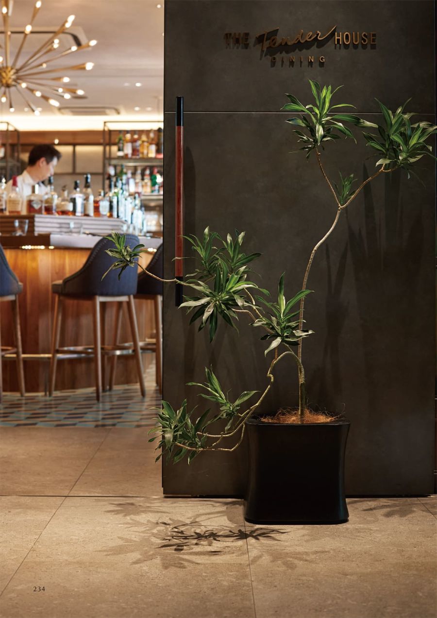 Yamatei・ヤマテーカタログ【HUSTNET】 P234 P235