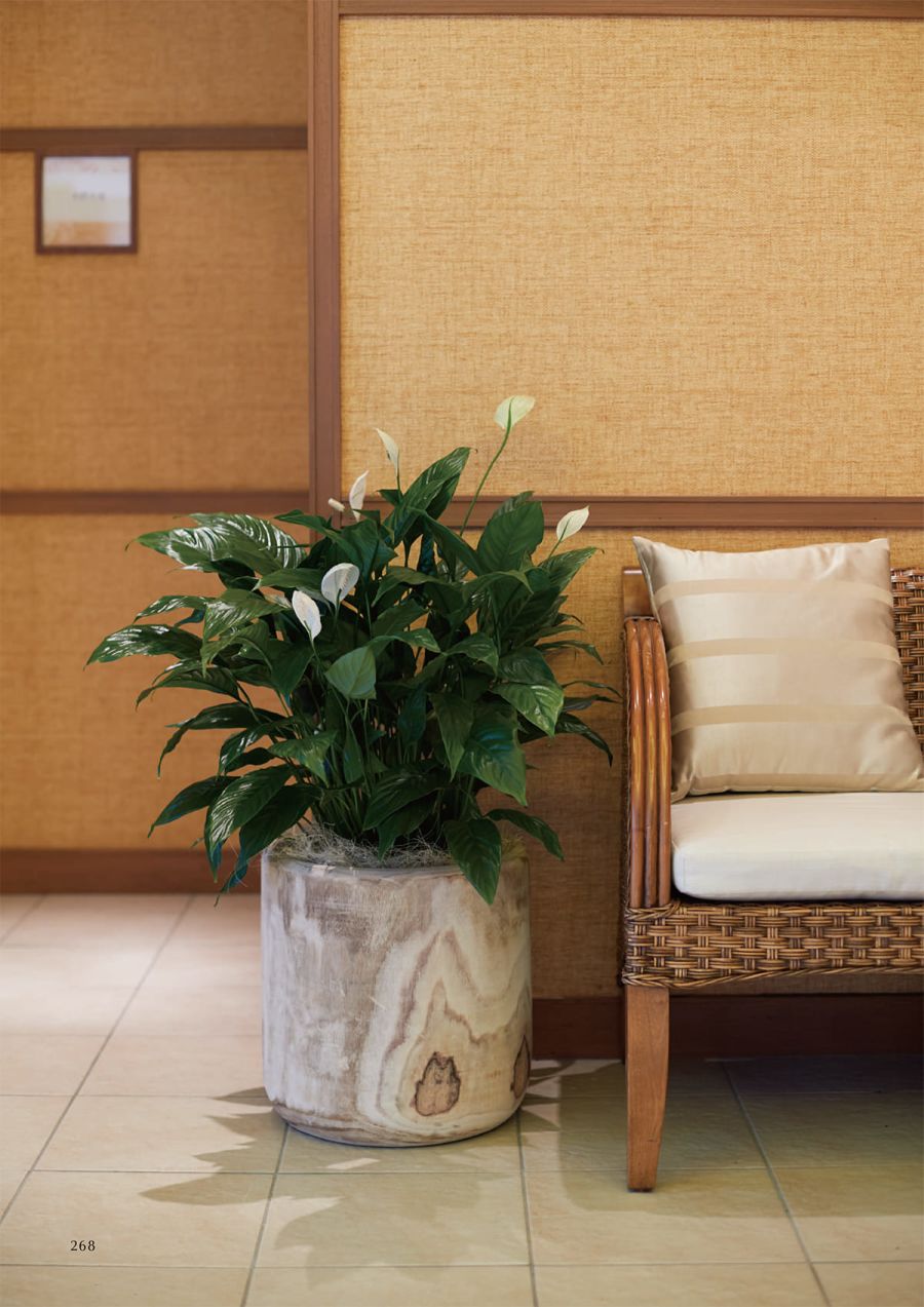 Yamatei・ヤマテーカタログ【HUSTNET】 P268 P269