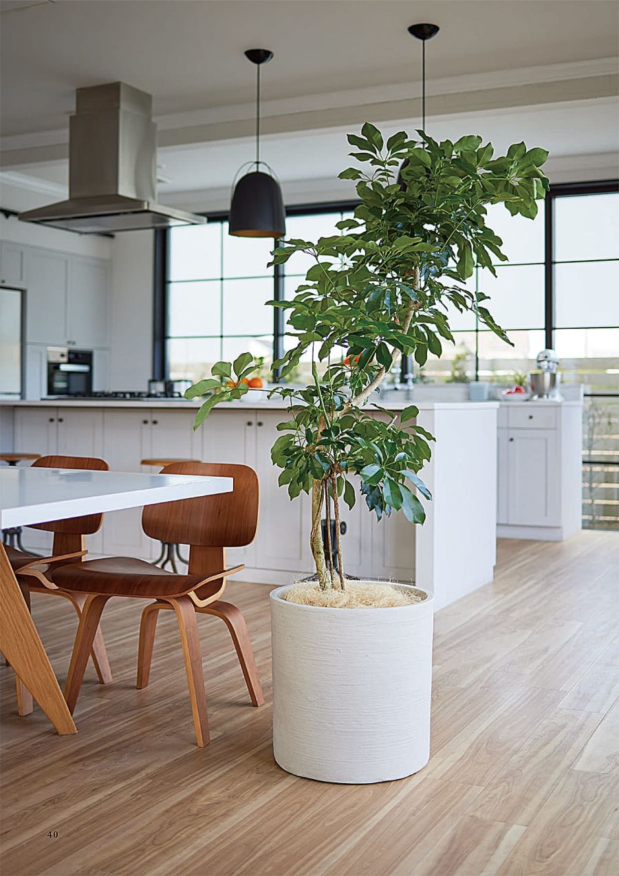 Yamatei・ヤマテーカタログ【HUSTNET】 P40 P41