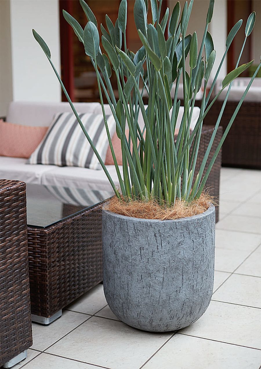 Yamatei・ヤマテーカタログ【HUSTNET】 P58 P59