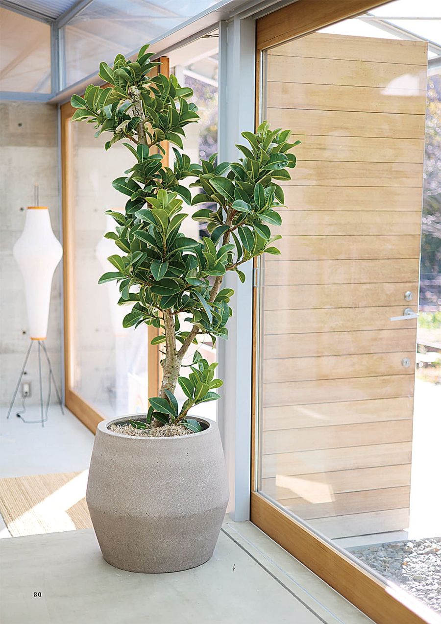 Yamatei・ヤマテーカタログ【HUSTNET】 P80 P81