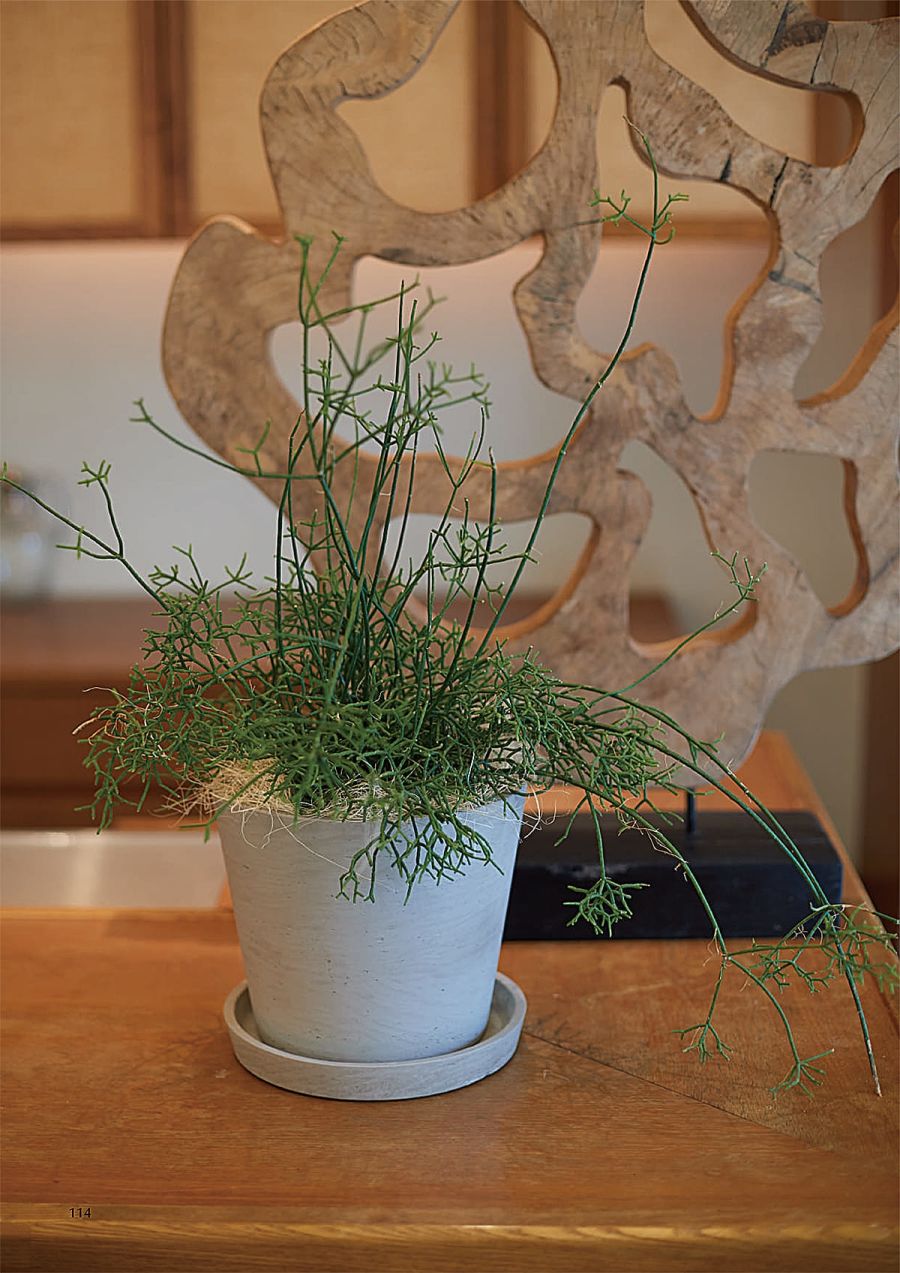 Yamatei・ヤマテーカタログ【HUSTNET】 P114 P115