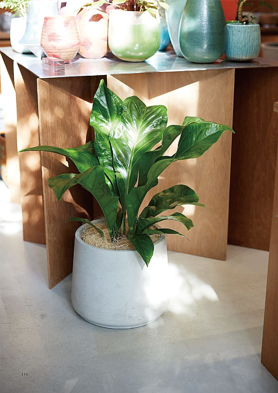 Yamatei・ヤマテーカタログ【HUSTNET】 P116 P117