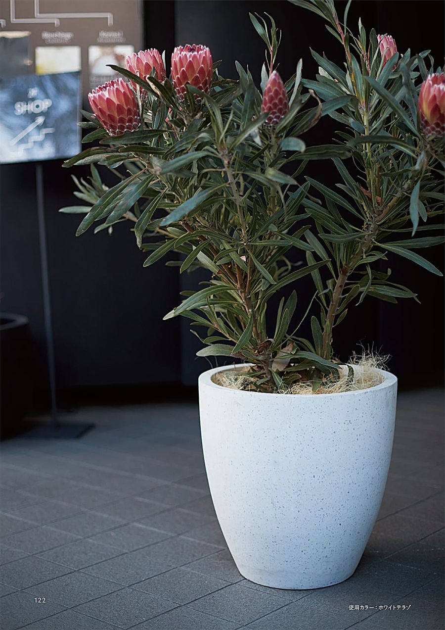 Yamatei・ヤマテーカタログ【HUSTNET】 P122 P123