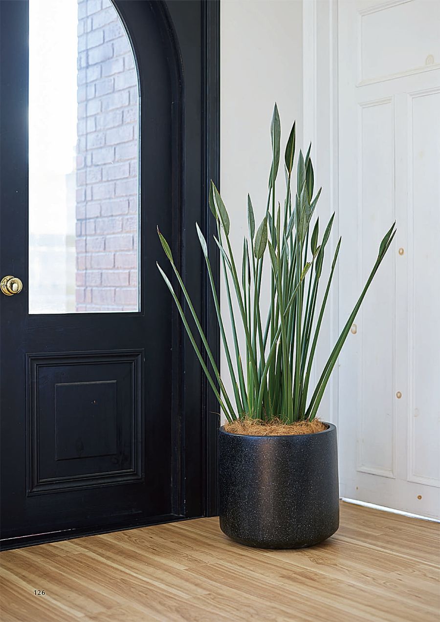 Yamatei・ヤマテーカタログ【HUSTNET】 P126 P127