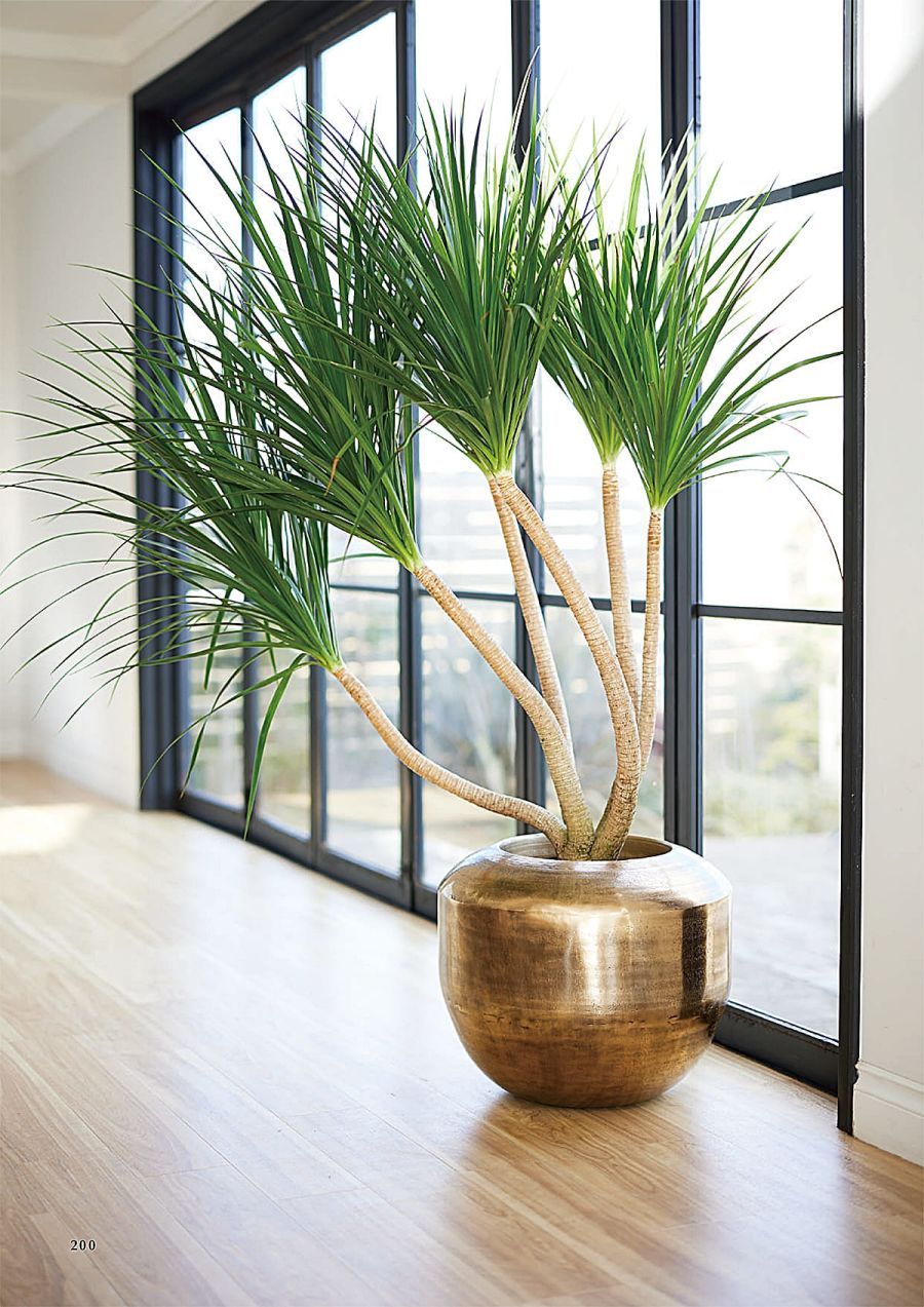 Yamatei・ヤマテーカタログ【HUSTNET】 P200 P201