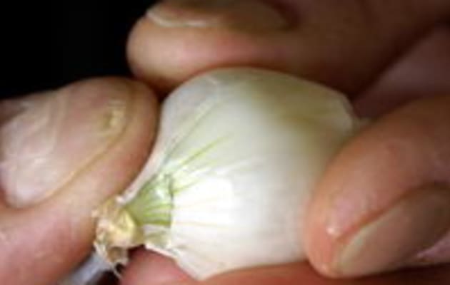 Eplucher des petits oignons grelots - Technique culinaire - Recette par ...