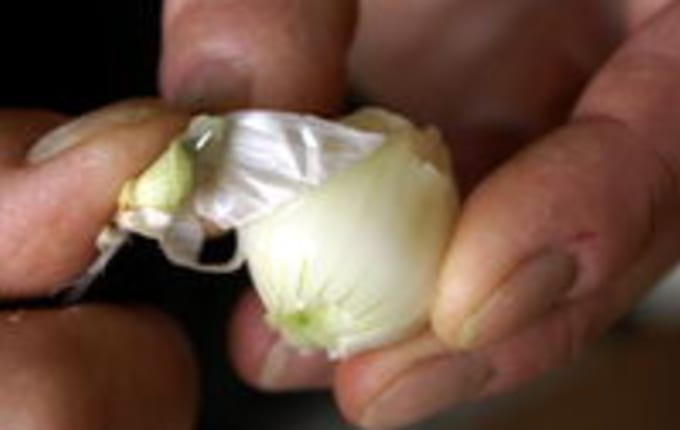 Eplucher des petits oignons grelots ou oignons sauciers : recette ...