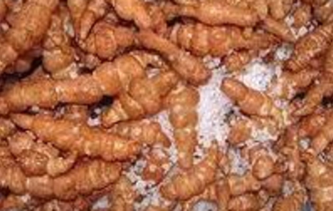 Les crosnes (crosnes du Japon)- Cuisiner les crosnes - Technique ...