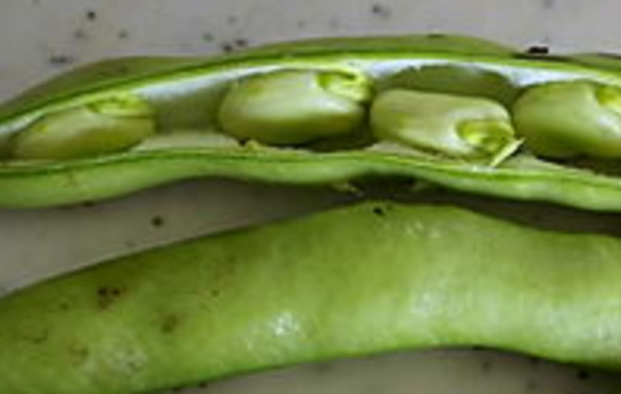 Éplucher les fèves et cuisson des fèves à l'anglaise (dans l'eau ...