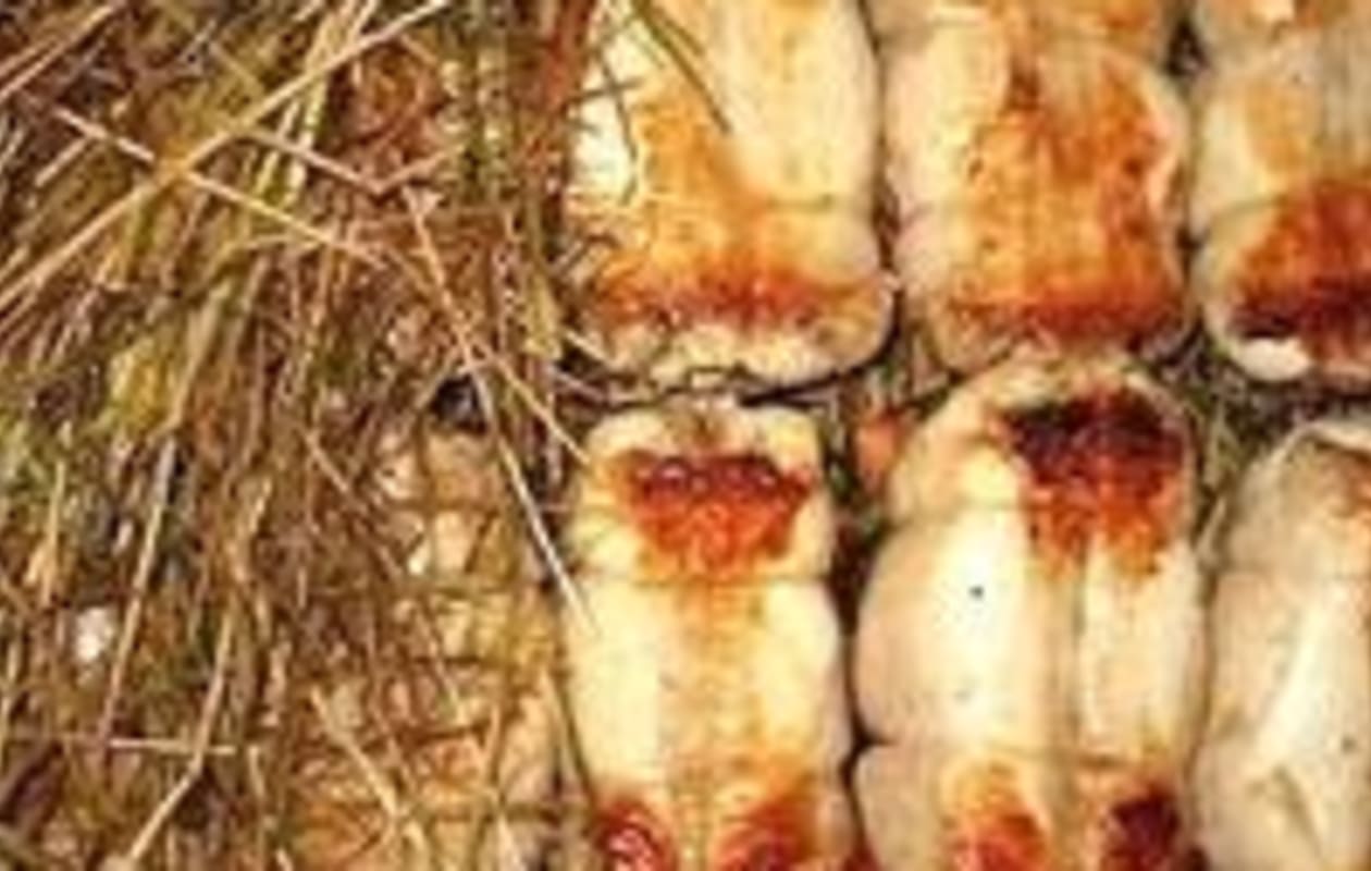 Lapin cuit au foin - Recette de lapin cuit au foin - Recette par Chef Simon