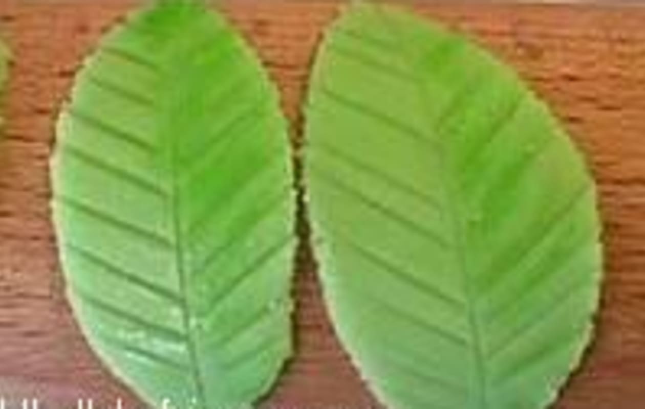Réaliser des feuilles en pâte d'amande pour vos décors de pâtisserie ...