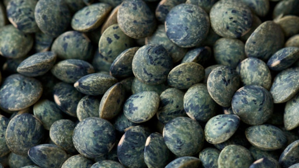 Idées de recettes à base de lentilles vertes et de soupe