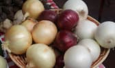 Épluchez toutes nos belles recettes à base d'oignons rouges, blancs, jaunes