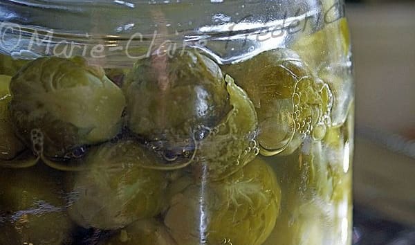 Mes conserves maison : les figues au sirop en bocaux - Recette par ...