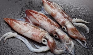 Nos belles suggestions de recettes rapides pour cuisiner les calamars ...