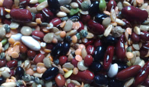 La fève, le plus vénérable ancêtre du monde des légumes. 12 recettes de ...