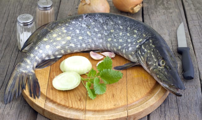 Brochet Et Terroir Des Recettes Faciles Et Originales