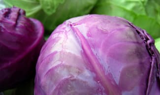 Des belles recettes de cuisine hautes en couleurs et en saveurs avec le ...