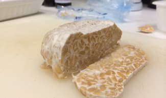 Le tempeh s'invite dans vos recettes de cuisine végétarienne, gratins ...