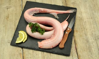 Découvrez toutes nos recettes gourmandes à base de roussette appelée ...