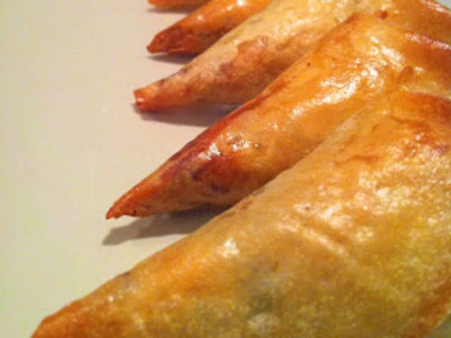 Samoussas au boeuf - Recette par Le Yin