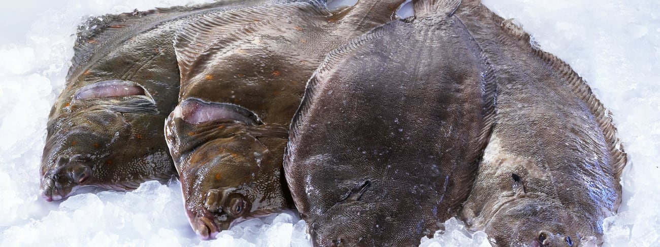 Curry et sole : des recettes faciles et originales