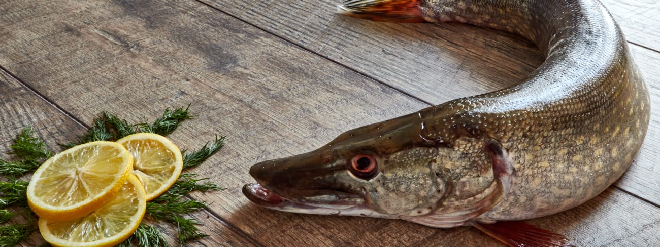 Brochet Et Terroir Des Recettes Faciles Et Originales