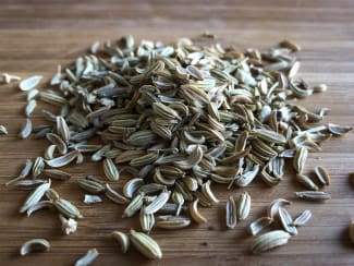 Le fenouil - Tout sur le fenouil (Foeniculum vulgare), histoire ...