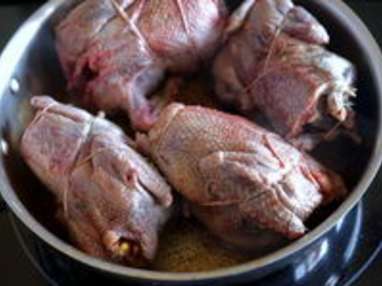 ☑ comment cuisiner vieux pigeons