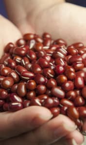 En rouge et noir. Les meilleures recettes à réaliser avec des haricots ...