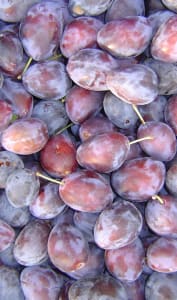 Les prunes, une gourmandise de fin d'été. Quetsches, mirabelles ou ...