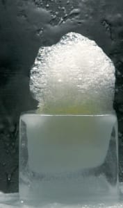 Un siphon font font... 7 recettes de siphon, espuma, crème Chantilly...