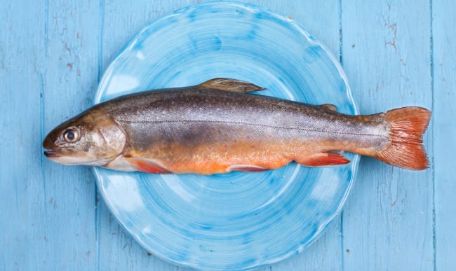 Cuisinez de belles recettes avec l'omble chevalier, un poisson d'eau douce