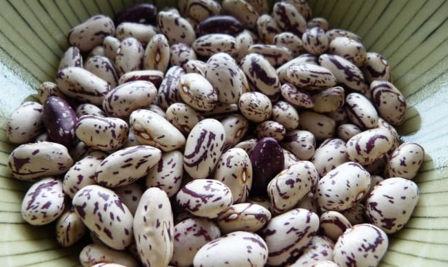 Haricots borlotti et boeuf : des recettes faciles et originales