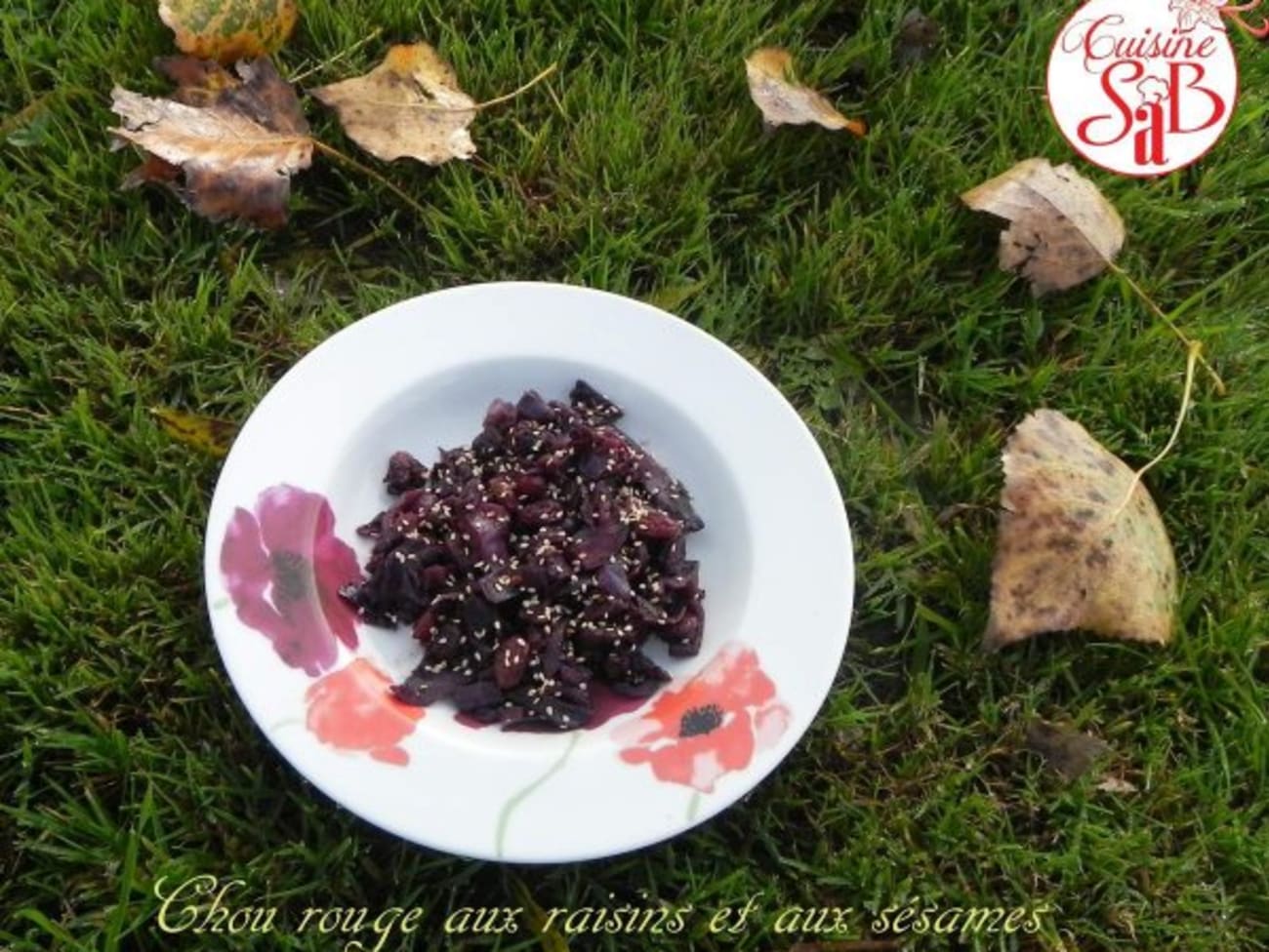 Chou rouge aux raisins secs et aux sésames : recette Chou rouge aux ...