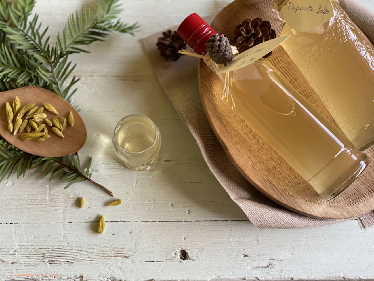 liqueur de bourgeons de sapin - Recette par pimprenelle