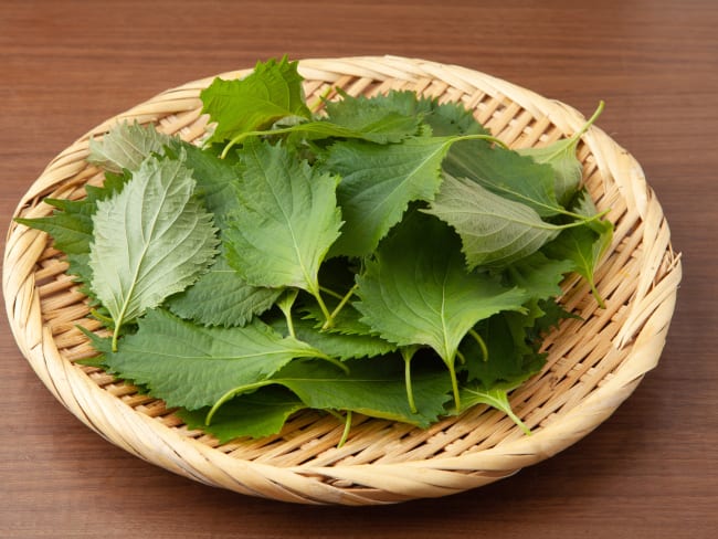Shiso - Qu'est-ce que le shiso et comment utiliser en cuisine cette ...