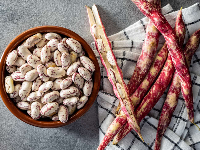 Le haricot italien borlotti - Quelles sont ses principales ...