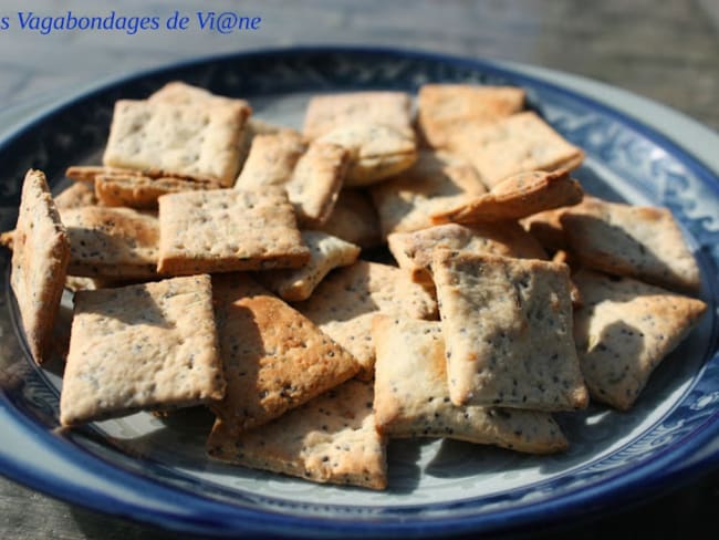 Recette Crackers comté - pavot